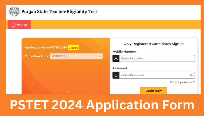 PSTET 2024 Application Form, Correction Window, Exam Date, Apply Online ...
